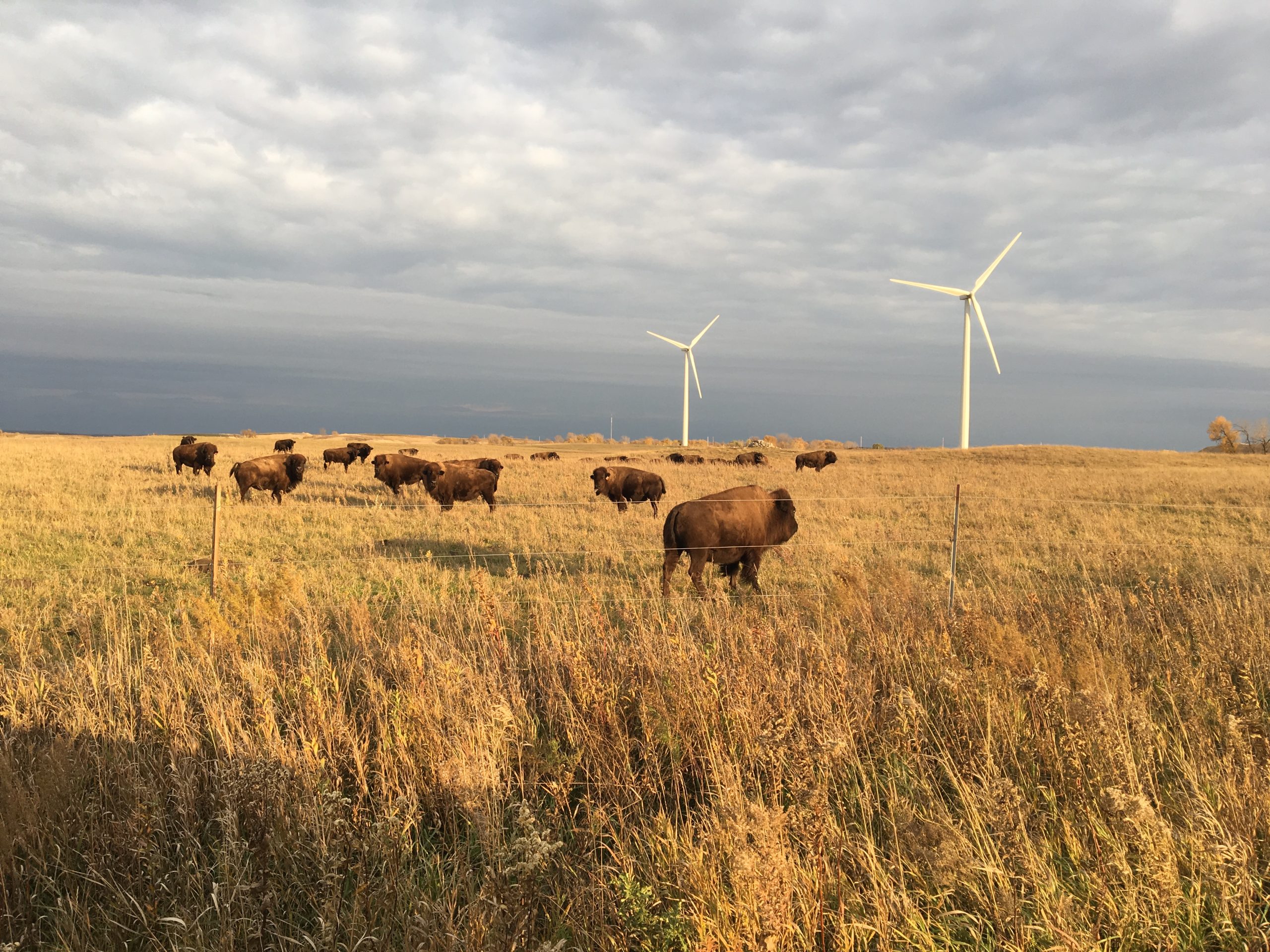 Lakeswind - TransAlta