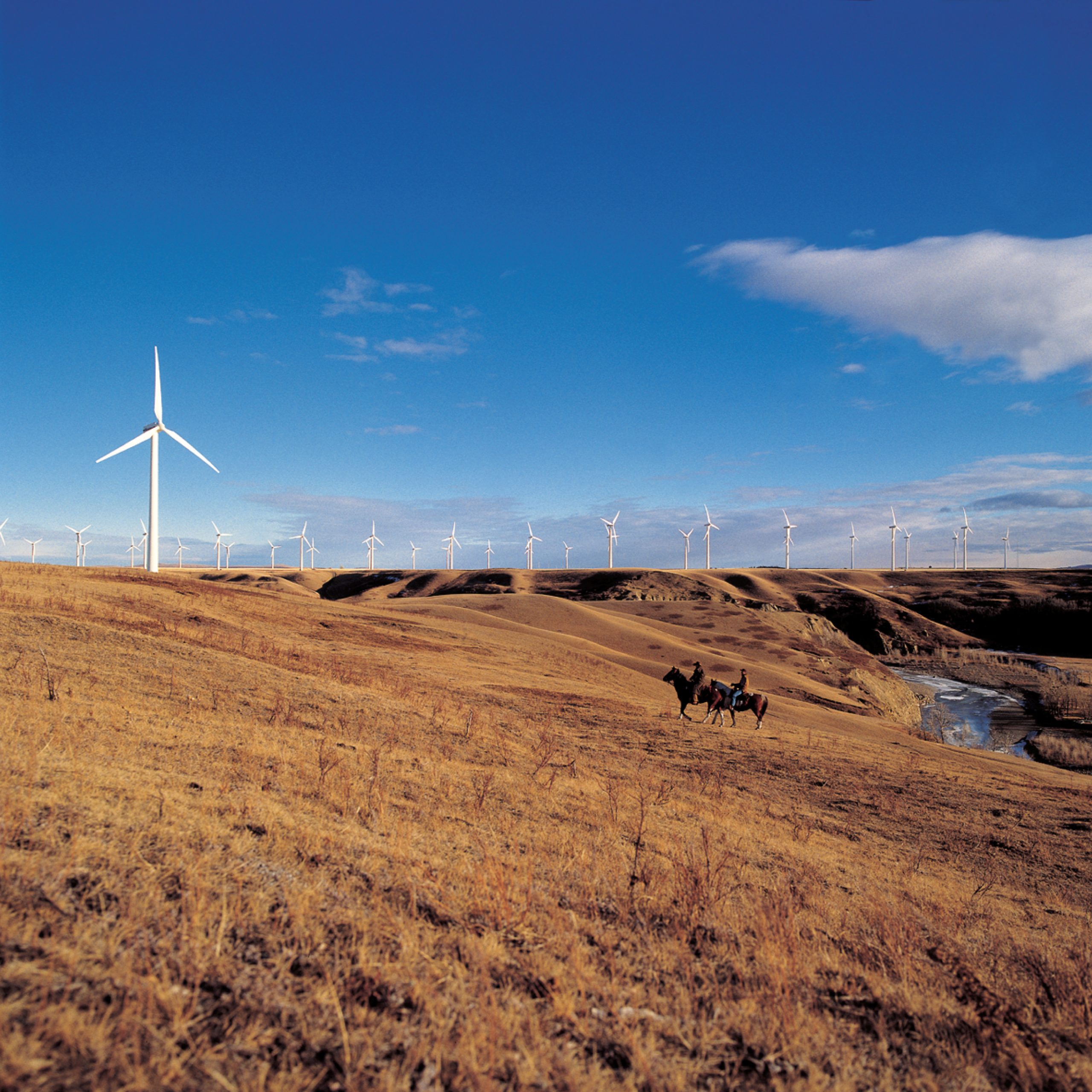 Summerview 2 - TransAlta